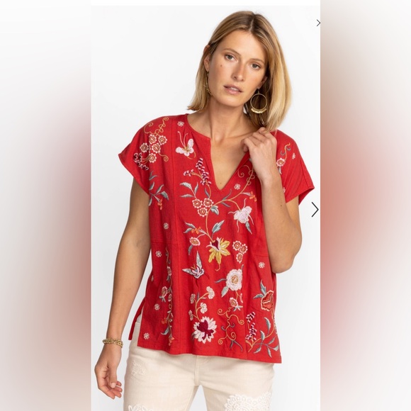 Johnny Was | Tops | Johnny Was Suki Easy Paneled Tee Mars Red | Poshmark